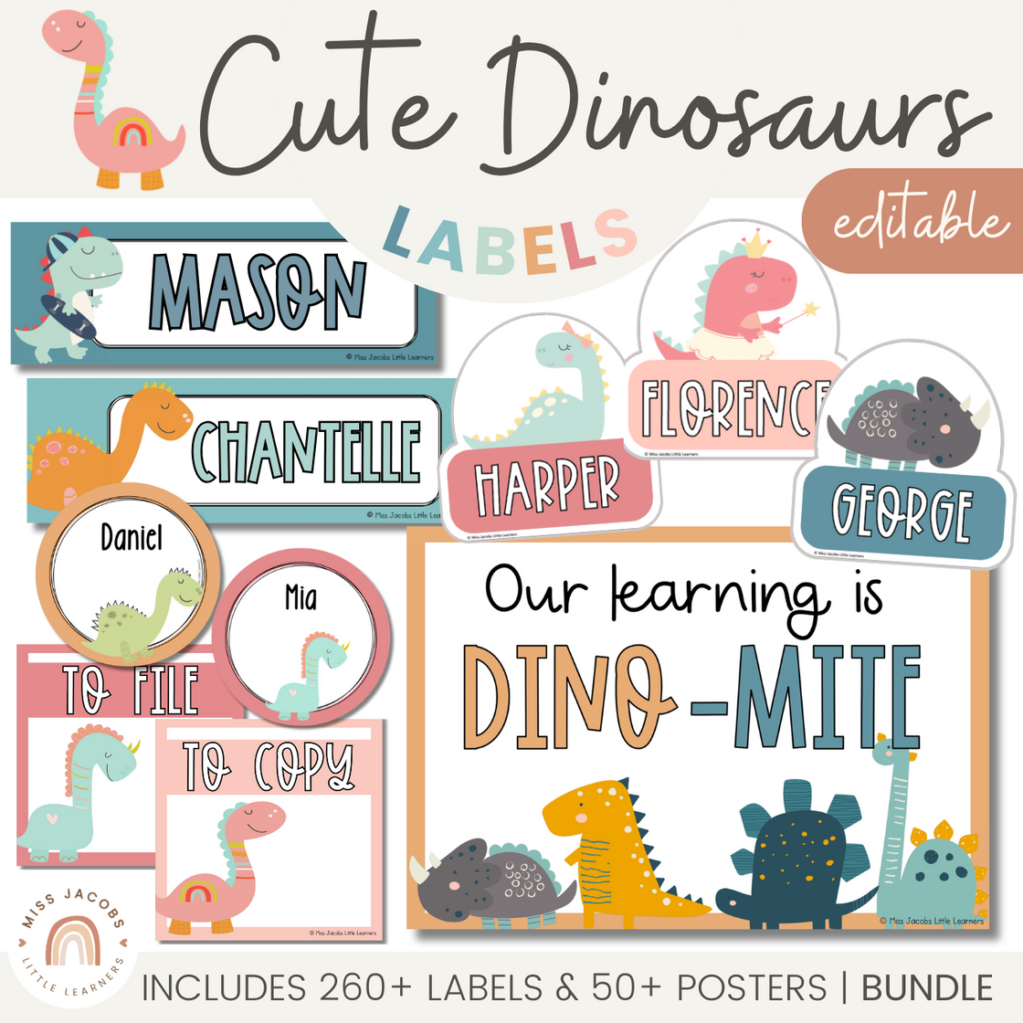 Classroom Labels Bundle (Student Name Tags, Posters & Door Display)