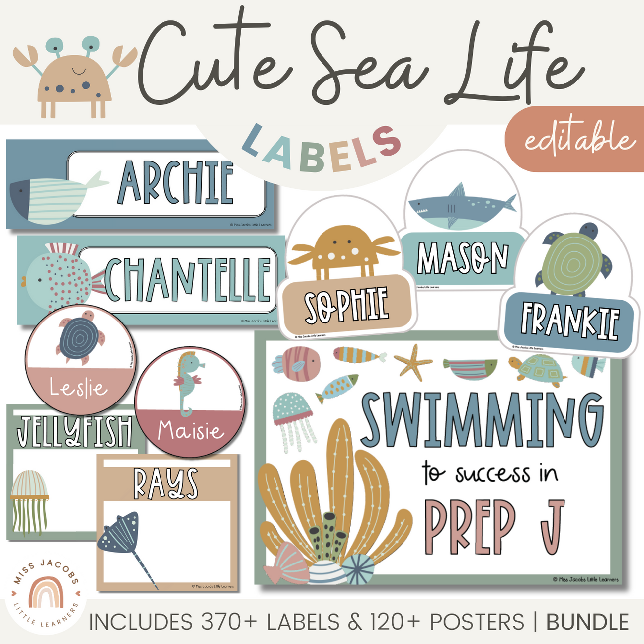 Animal Themed Classroom Decor – Miss Jacobs Little Learners