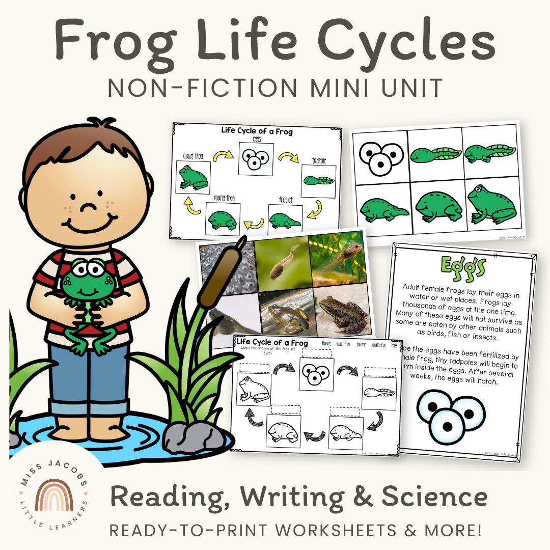 Life Cycle of a Frog - Miss Jacobs Little Learners