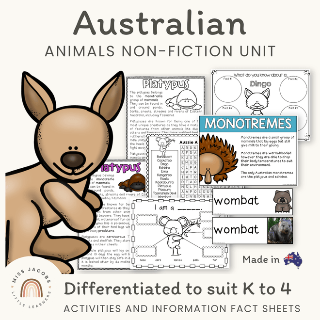 Modern Classroom Decor by Miss Jacobs Little Learners