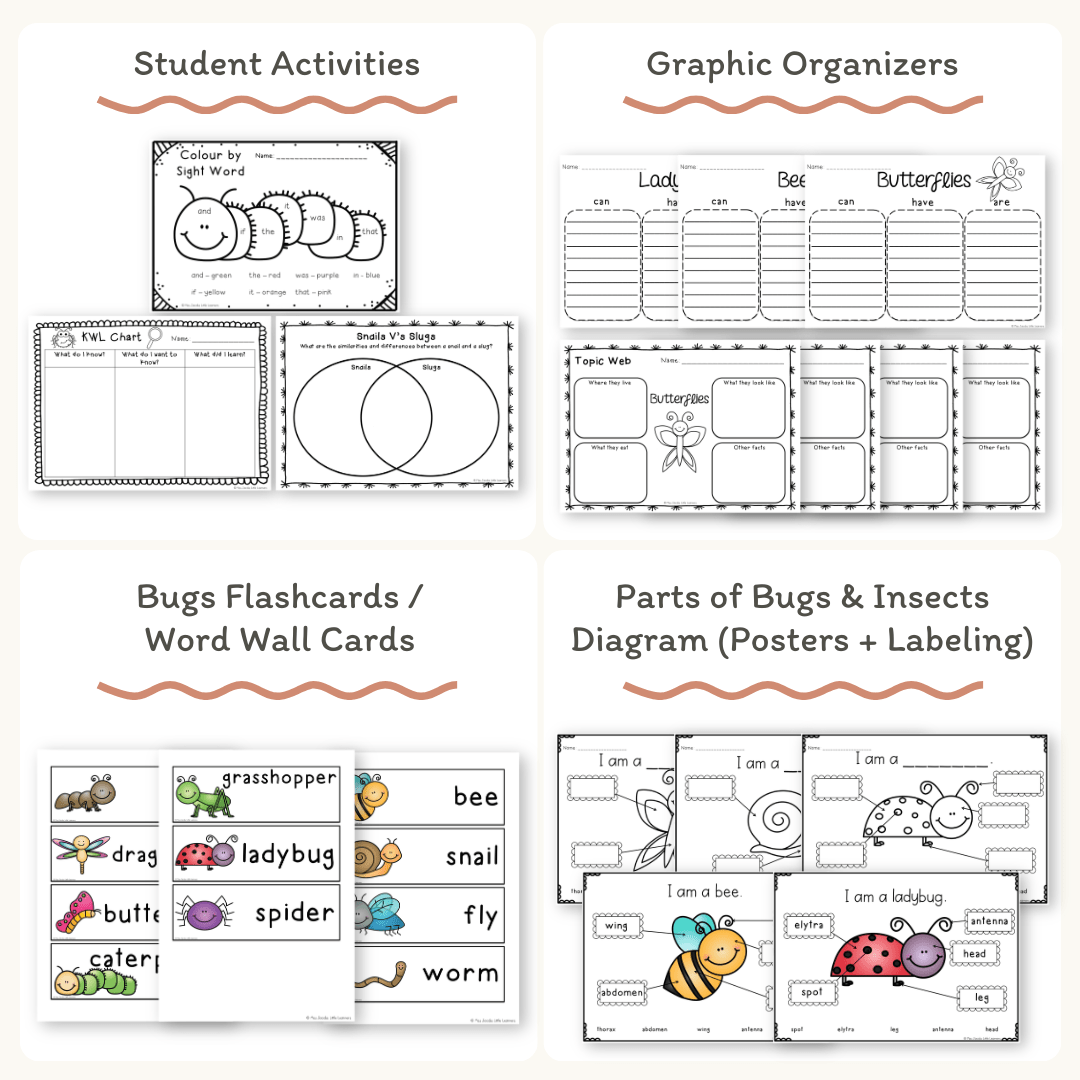 Bugs & Insects Thematic Unit - Miss Jacobs Little Learners