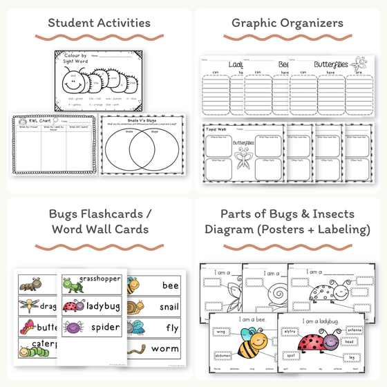 Bugs & Insects Thematic Unit - Miss Jacobs Little Learners