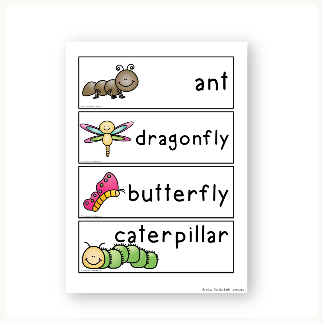 Bugs & Insects Thematic Unit - Miss Jacobs Little Learners