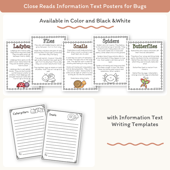 Bugs & Insects Thematic Unit - Miss Jacobs Little Learners