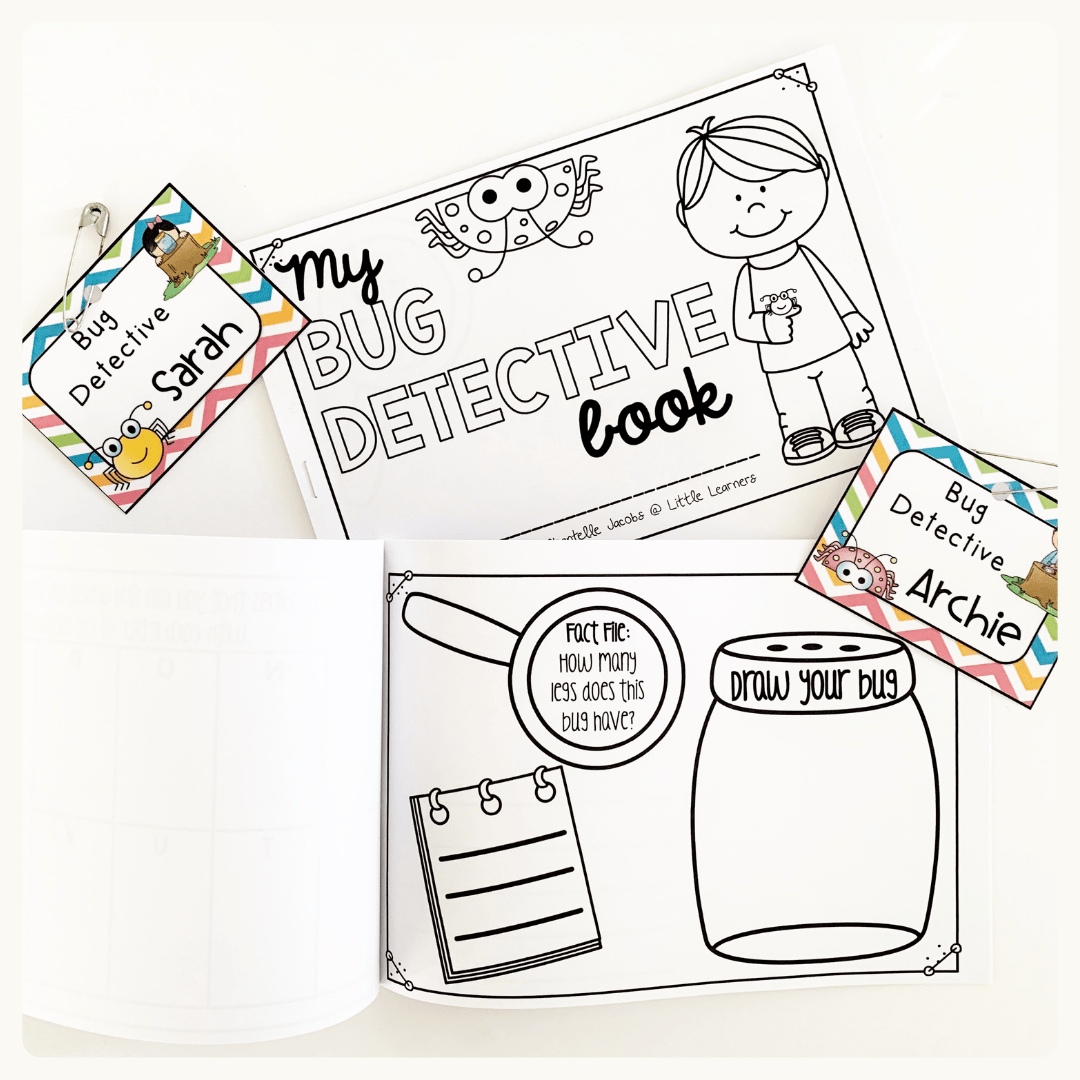 Bugs & Insects Thematic Unit - Miss Jacobs Little Learners