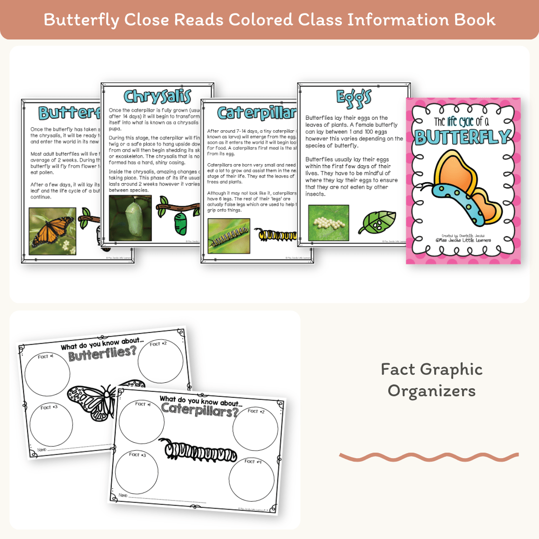 Butterfly & Caterpillar Unit - Miss Jacobs Little Learners