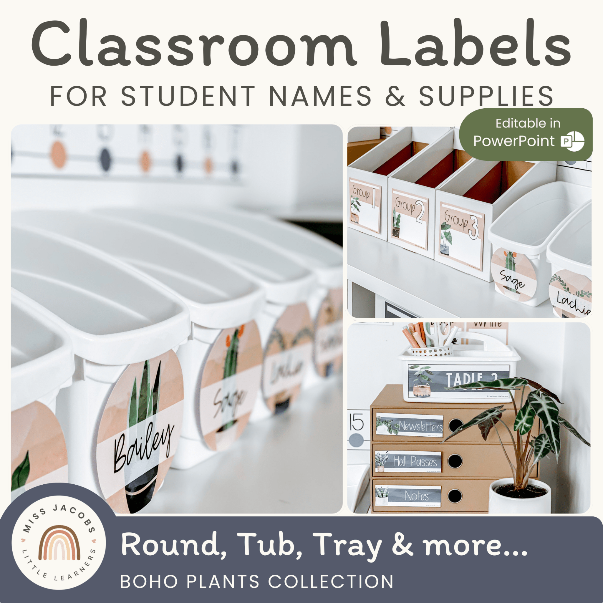 Classroom Labels Student Names & Supplies - Boho Plants Decor