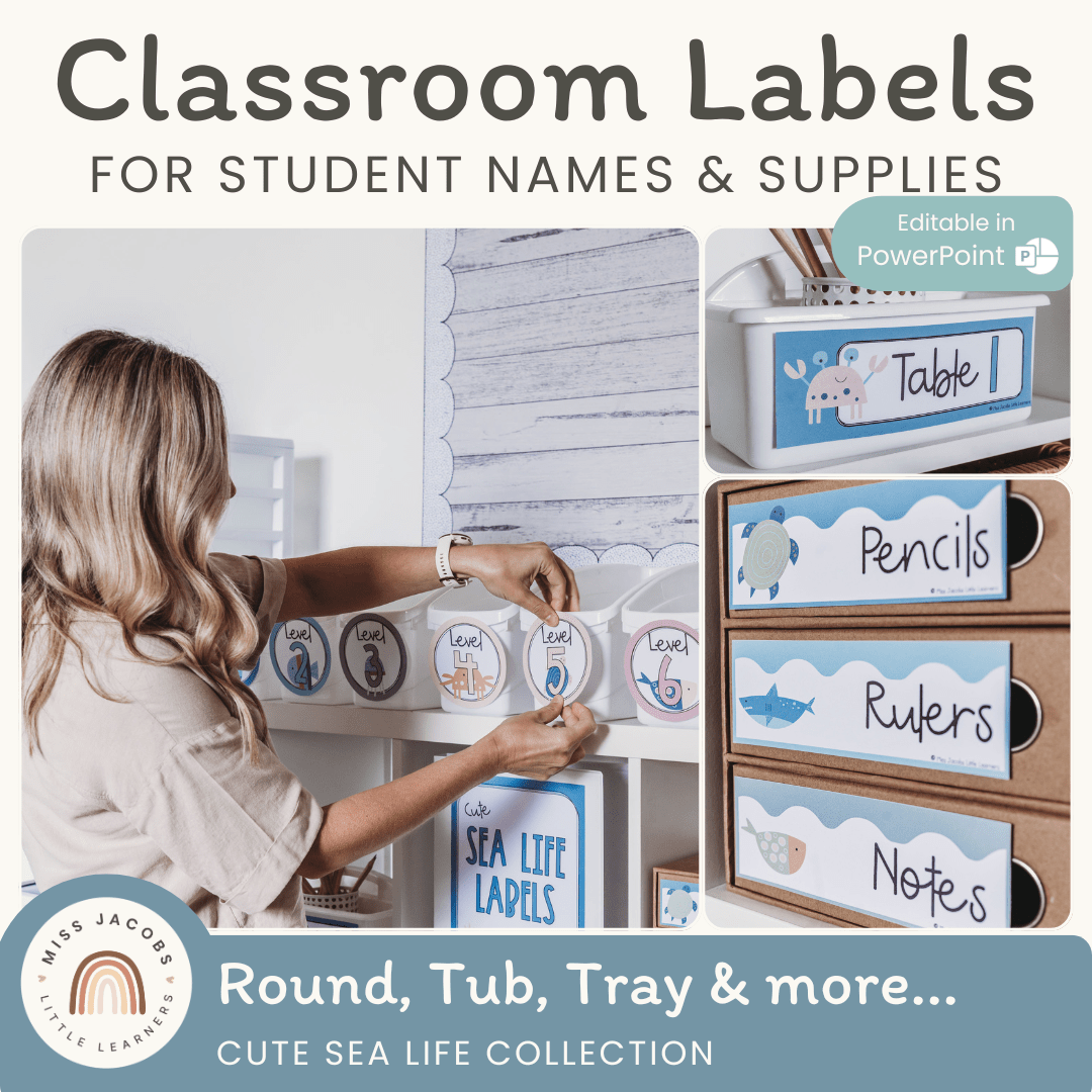Cute Sea Life Classroom Decor – Miss Jacobs Little Learners