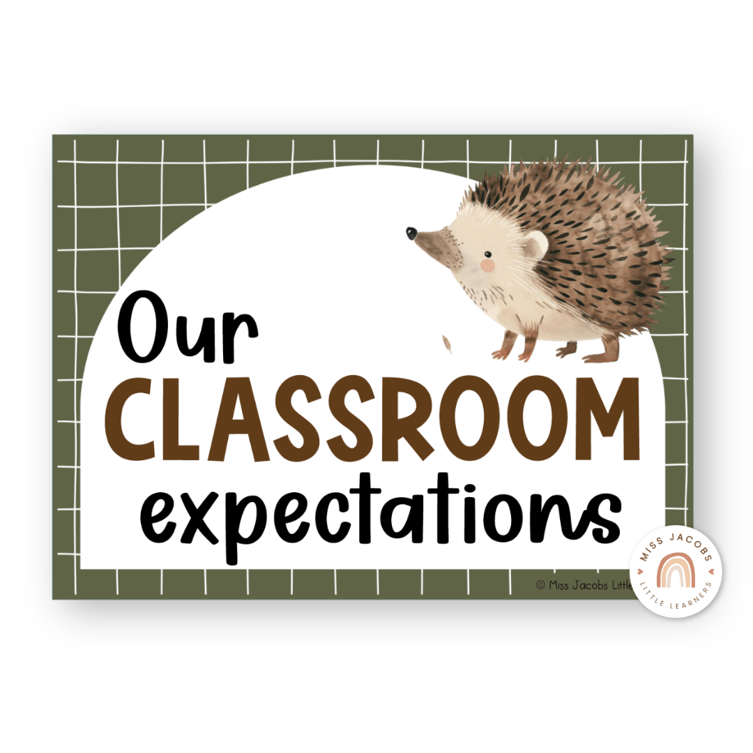 Classroom Rules and Expectations Posters - Woodland Decor - MJLL