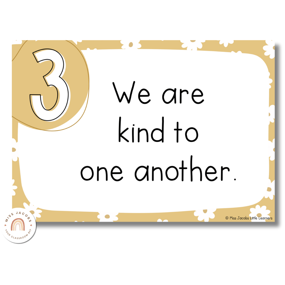Classroom Rules and Expectations Posters - Daisy Gingham Neutrals