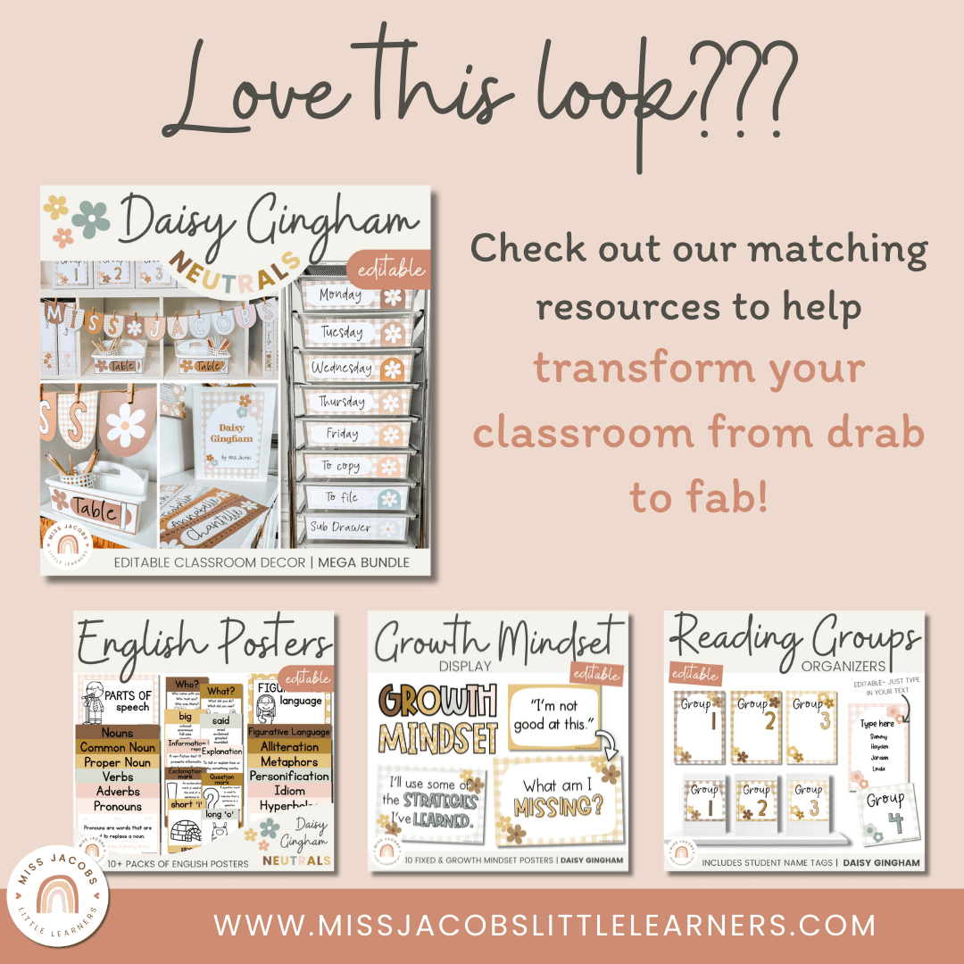 English Posters Bundle | Reading and Writing Strategies | Daisy Gingha ...