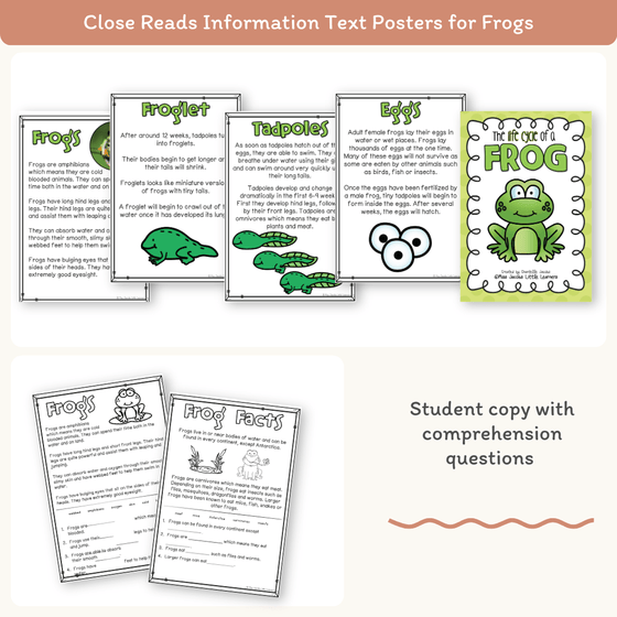 Frog Thematic Unit - Miss Jacobs Little Learners