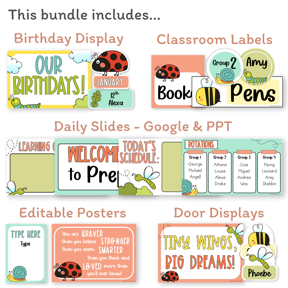 Insects Theme Classroom Essentials Decor Pack - Miss Jacobs