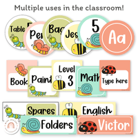 Insects Theme Classroom Essentials Decor Pack - Miss Jacobs