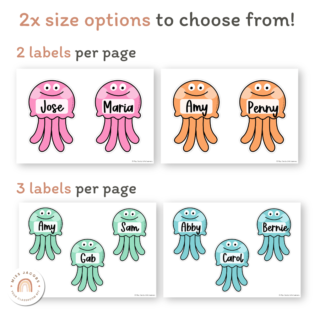 Jellyfish Door Display Classroom Decor - Miss Jacobs