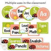 Ladybug Theme Classroom Essentials Decor Pack - Miss Jacobs