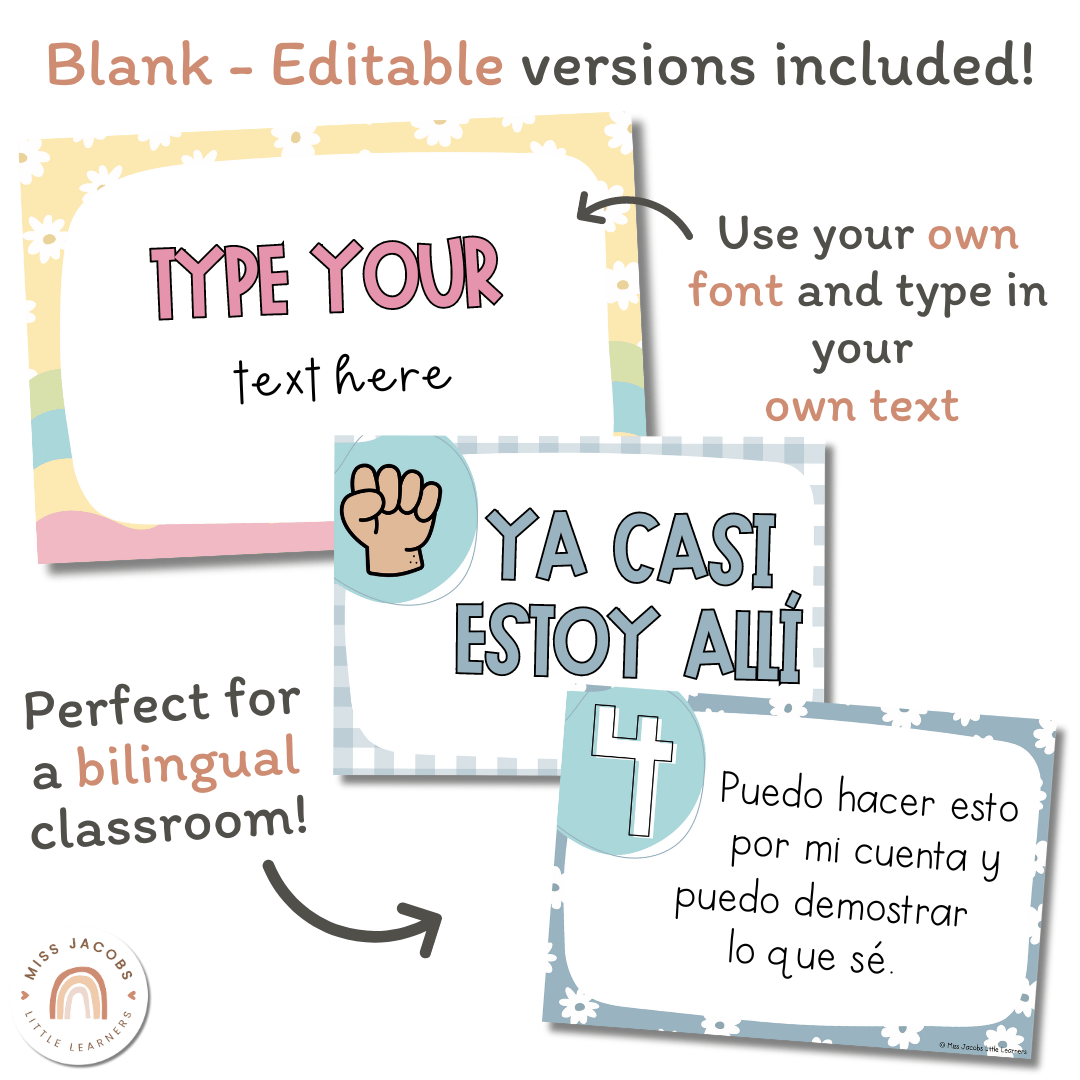 Levels of Understanding Posters with visuals | Daisy Gingham Pastels