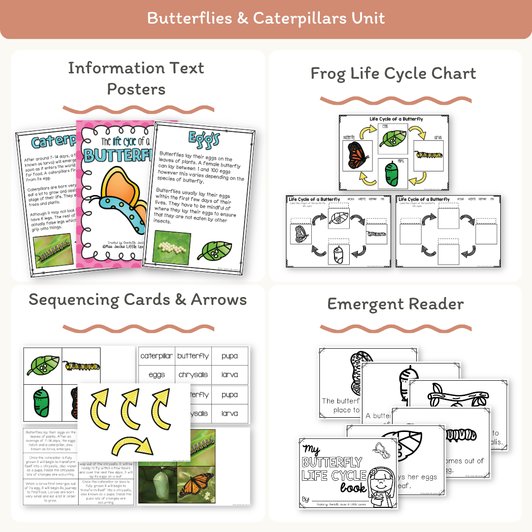 Life Cycle Thematic Units Bundle - Printables, Worksheets & Activities ...