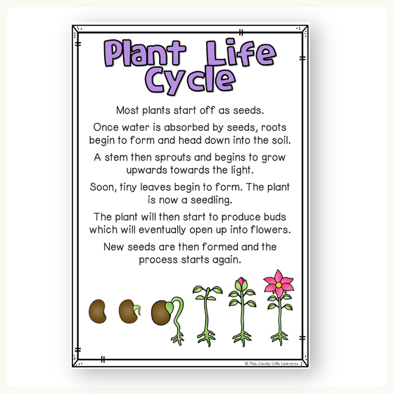 Life Cycle Thematic Units Bundle - Printables, Worksheets & Activities ...
