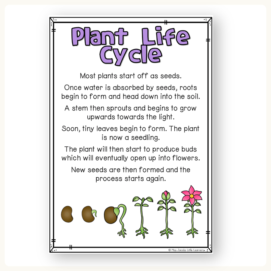 Units Of Work - Teaching Resources – Miss Jacobs Little Learners