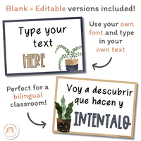 Growth Mindset Posters - Boho Plants Classroom Decor