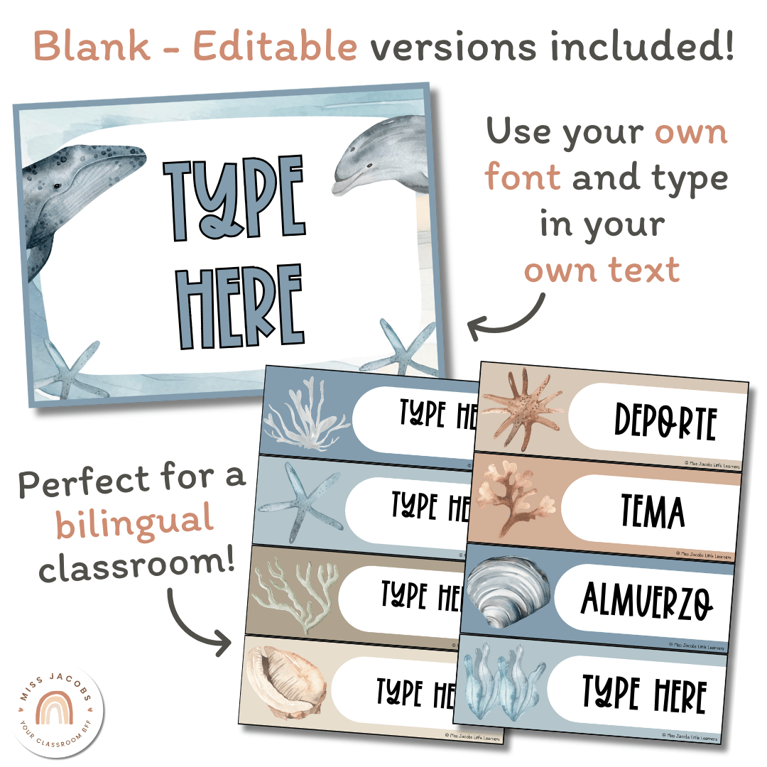 Visual Timetable Daily Schedule - Modern Ocean Classroom Decor