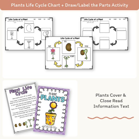 Plant Life Cycle Stages Mini Unit - Visuals and Worksheets - MJLL ...