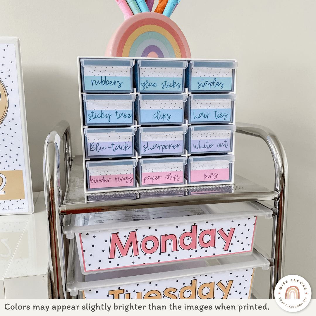 Spotty Bright Classroom Decor - Neon Rainbow Colors - Miss Jacobs