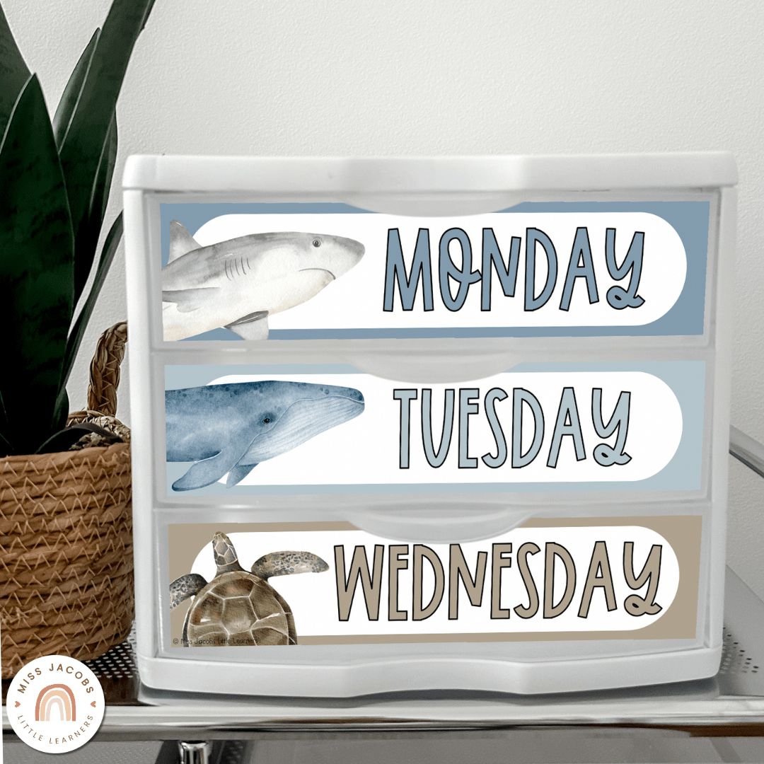 Sterilite Labels | Modern Ocean