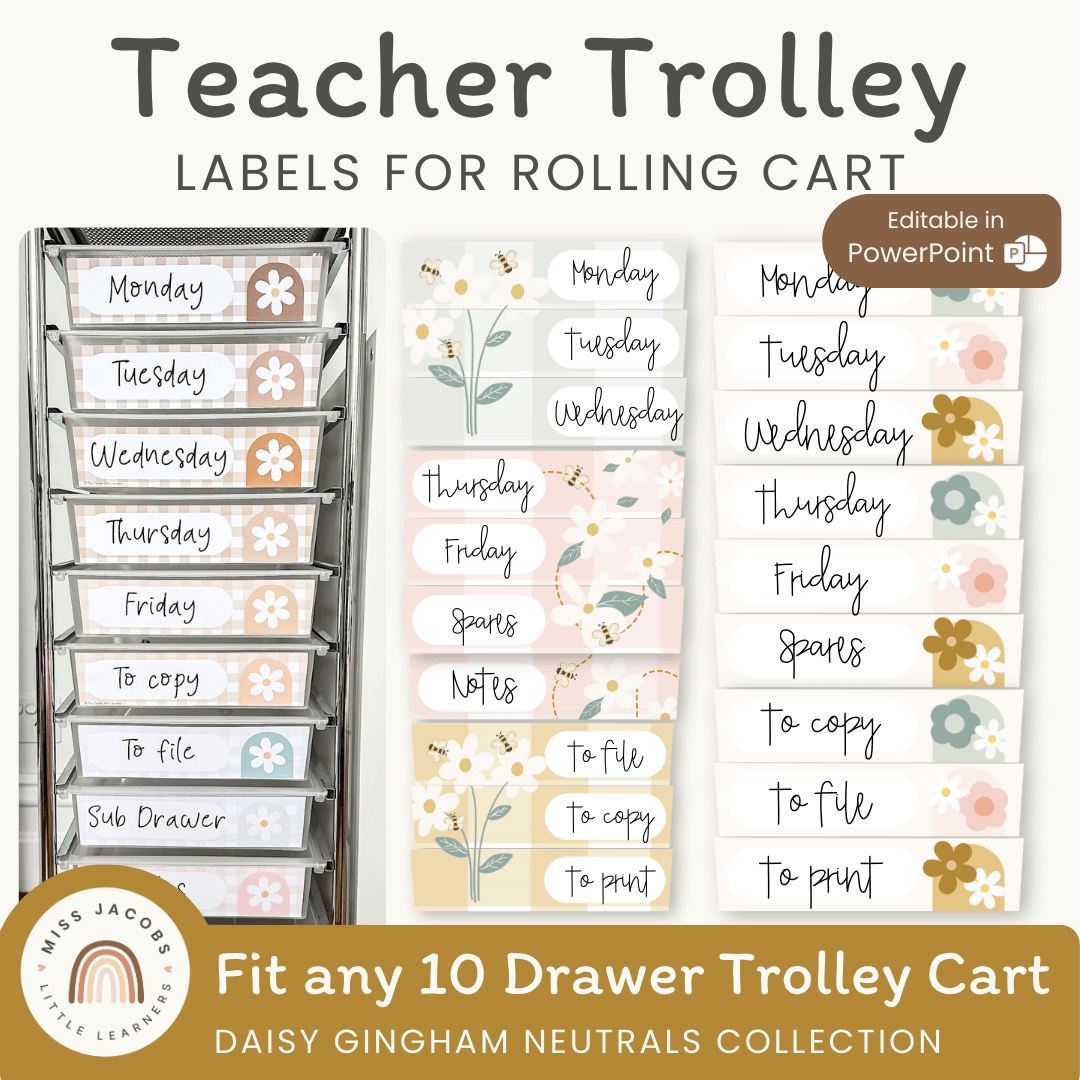 Daisy Gingham Neutrals Classroom Decor – Miss Jacobs Little Learners