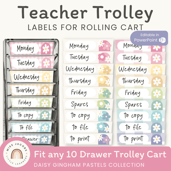 Teacher Trolley Labels for Rolling Cart - Daisy Gingham Pastels Decor ...