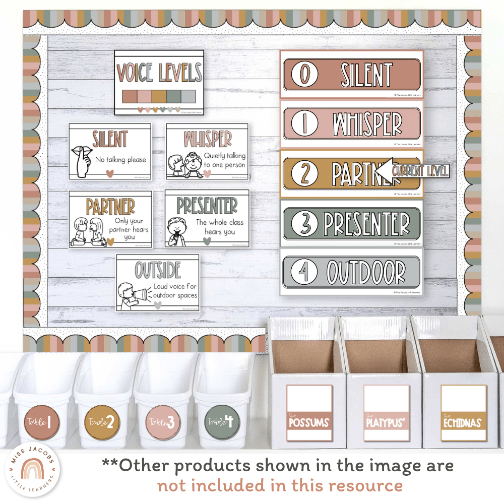 Voice Level Display | SIMPLE BOHO Classroom Decor