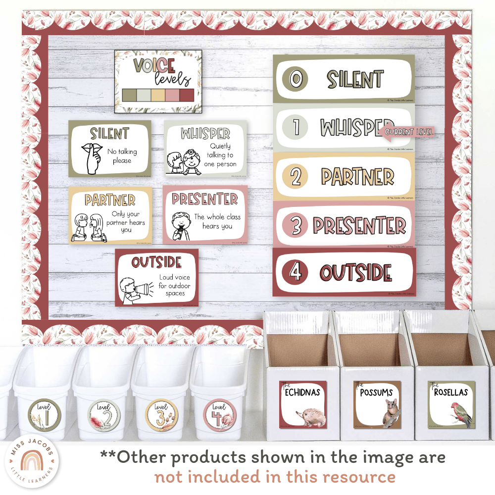 Classroom Voice and Noise Level Displays | Australiana