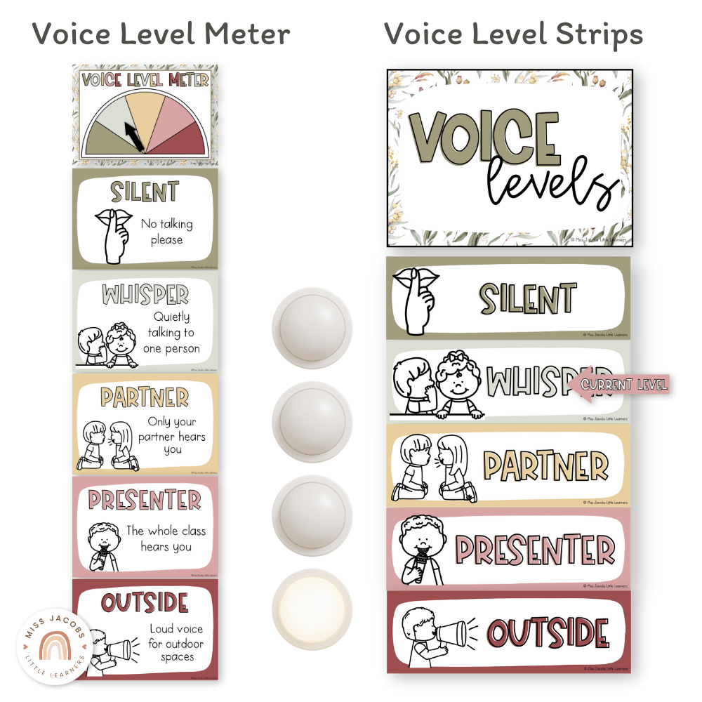 Classroom Voice and Noise Level Displays | Australiana