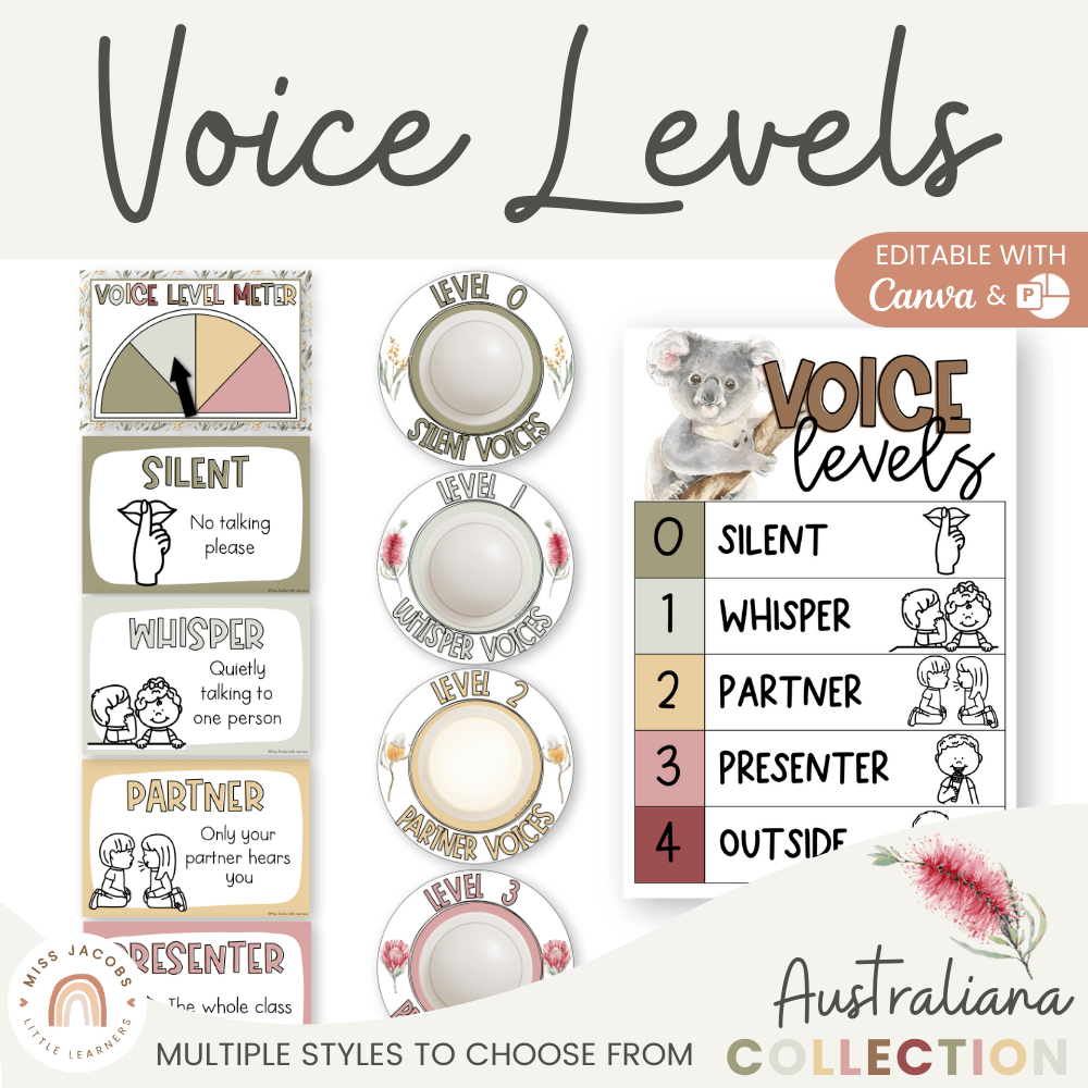 Classroom Voice and Noise Level Displays | Australiana