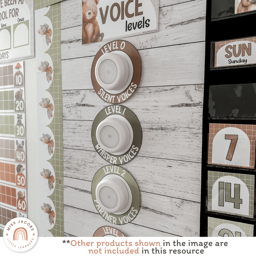 Voice Levels Chart - Woodland Theme Classroom Decor - MJLL – Miss ...