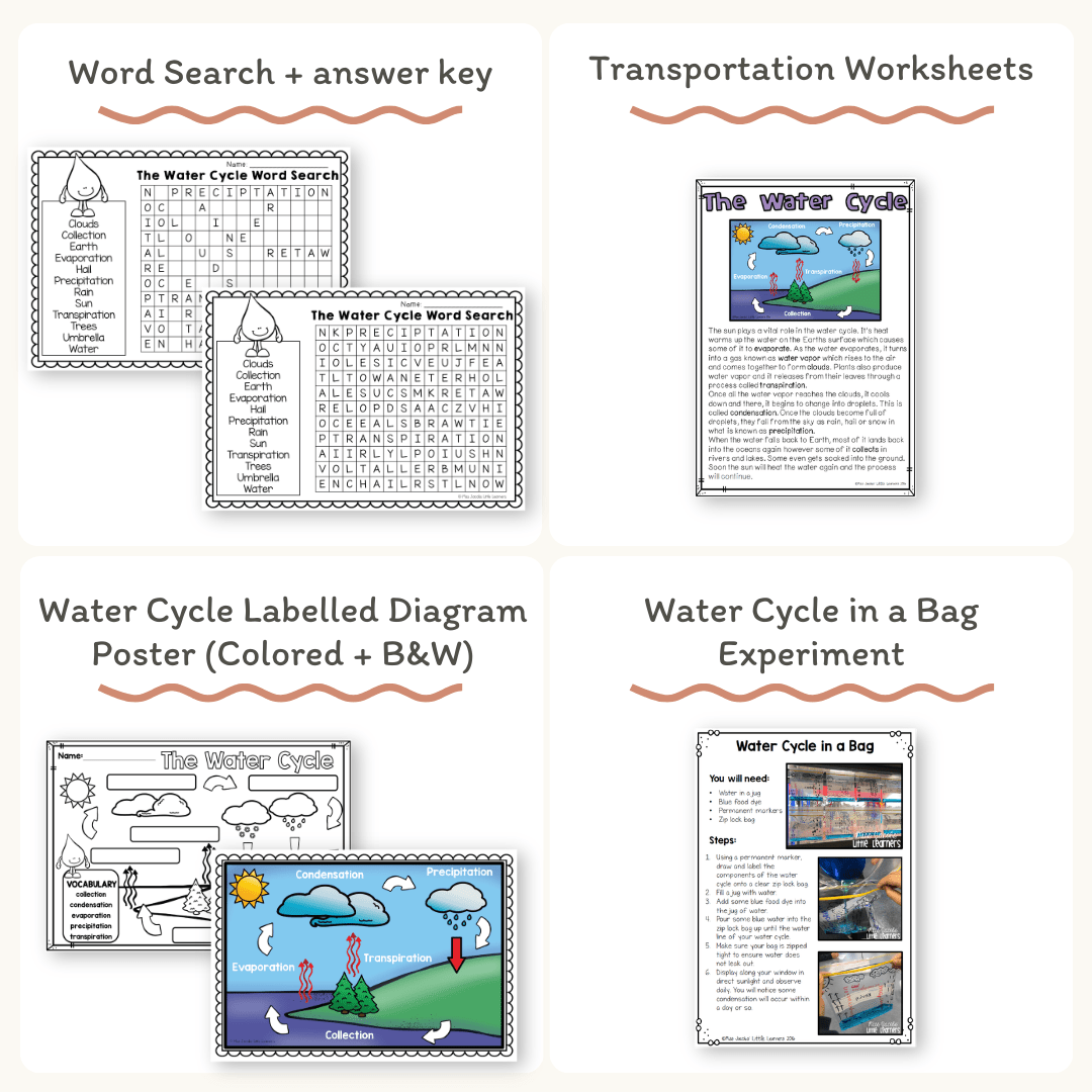 Water Cycle Mini Unit - Posters, Worksheets & Activities - MJLL – Miss ...