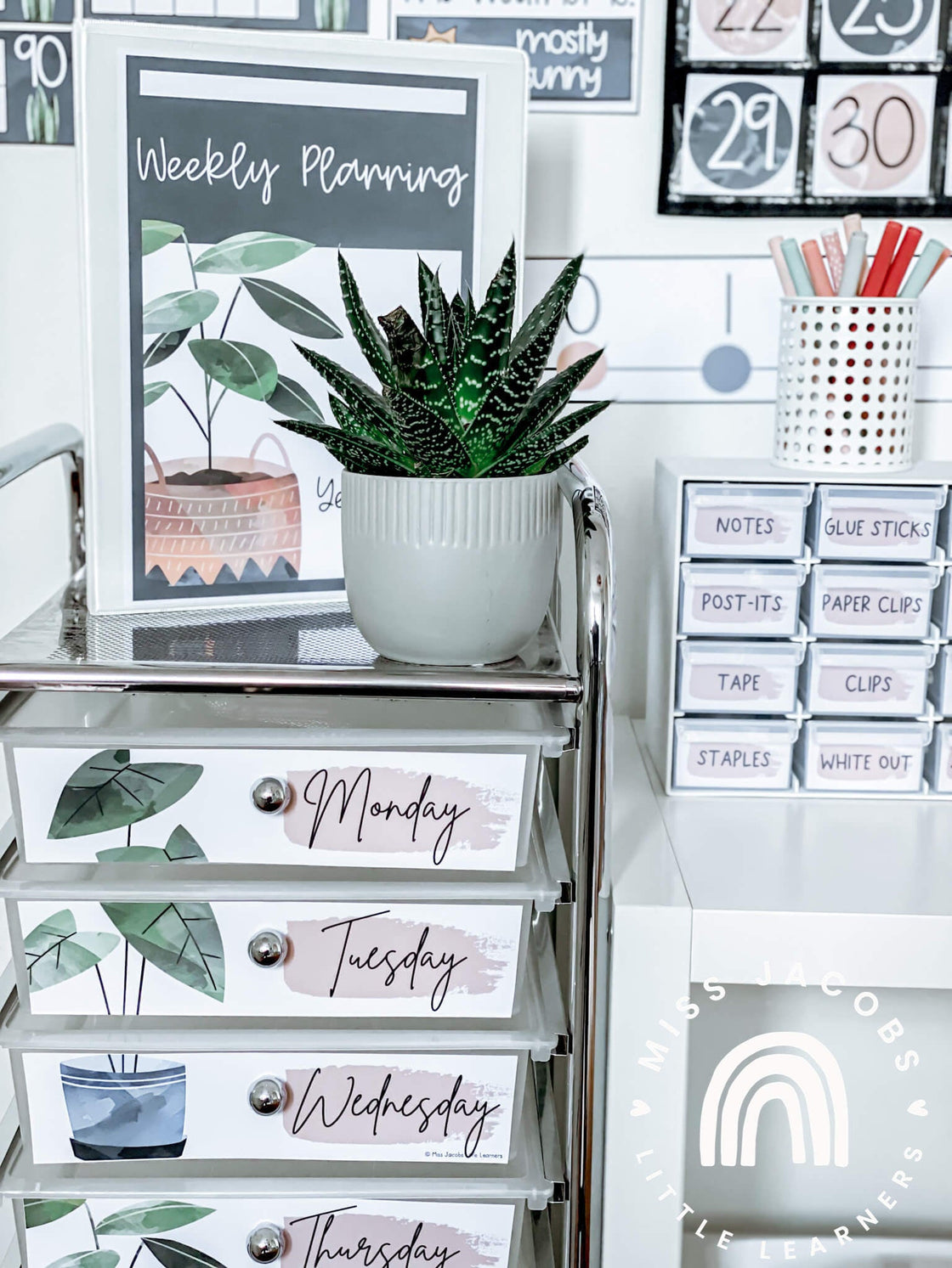 10 Drawer Cart Labels | Boho Plants