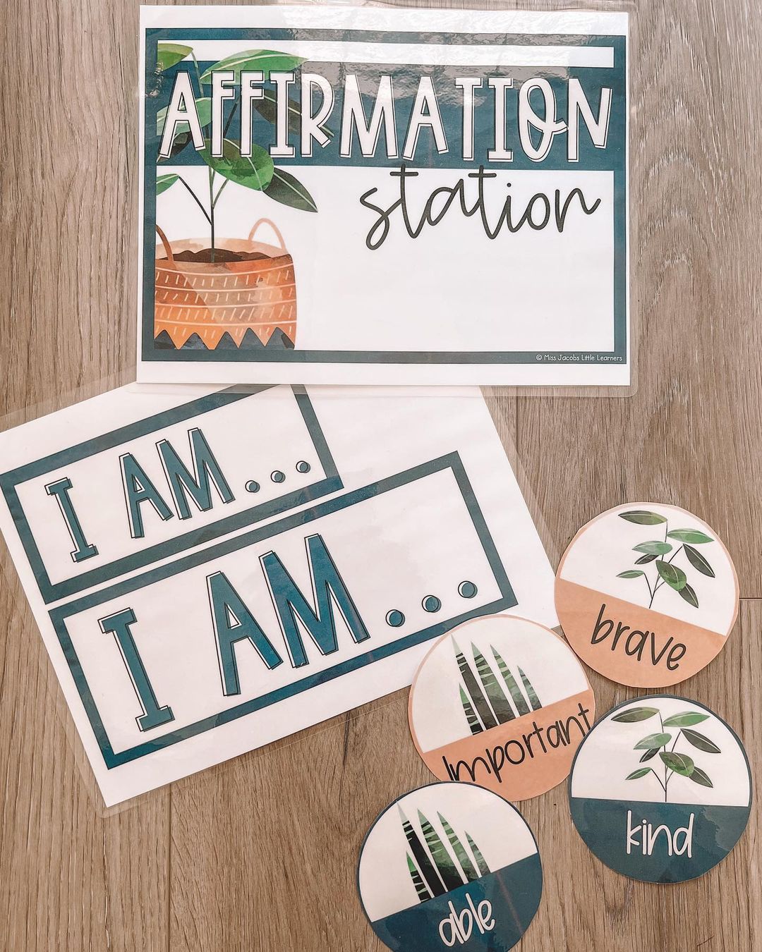 Affirmation Station | Boho Plants