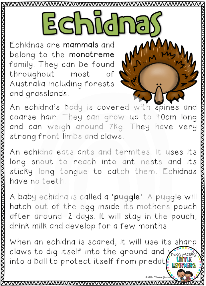 Australian Animals Unit - Australian Curriculum - Default Title