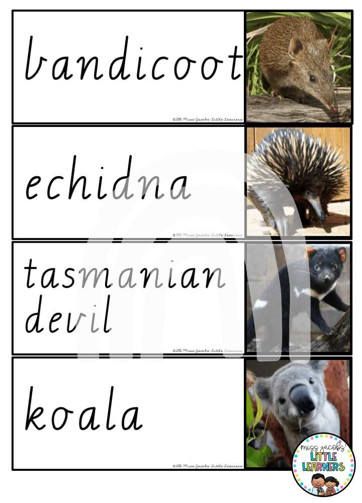 Australian Animals Unit - Australian Curriculum