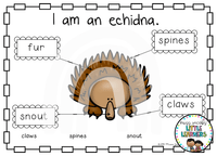 Australian Animals Unit - Australian Curriculum – Miss Jacobs Little ...