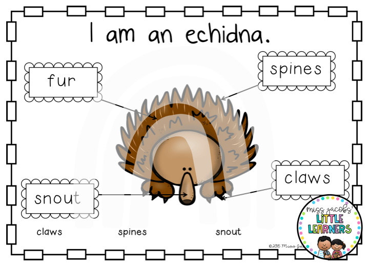 Australian Animals Unit - Australian Curriculum