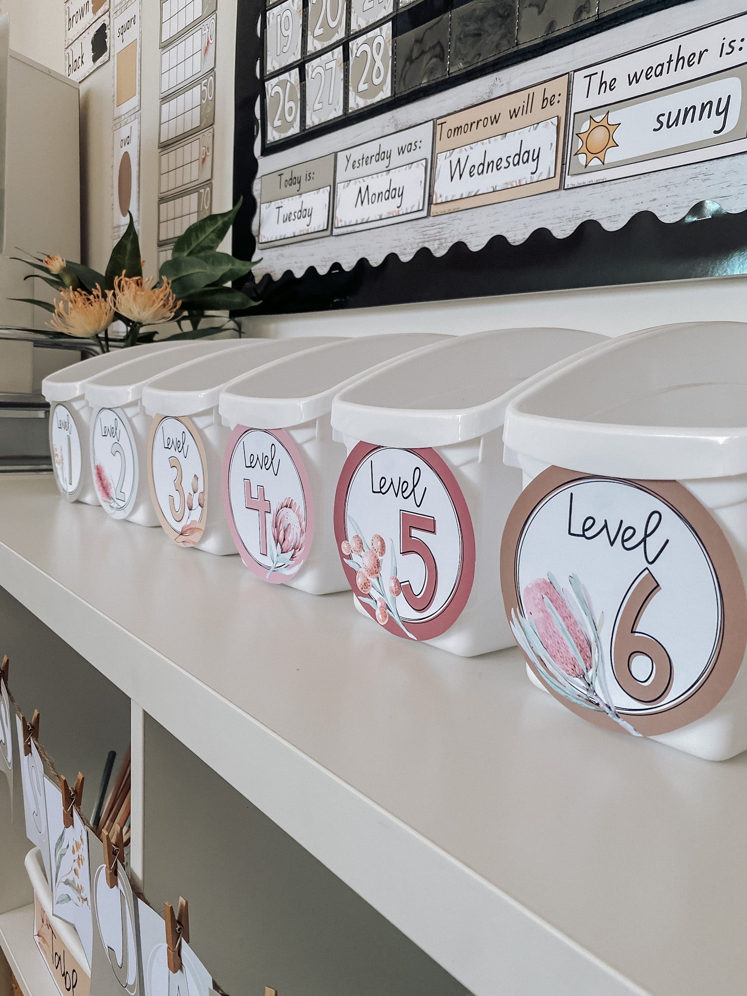 Australiana Classroom Decor - Native Flora and Fauna - Miss Jacobs