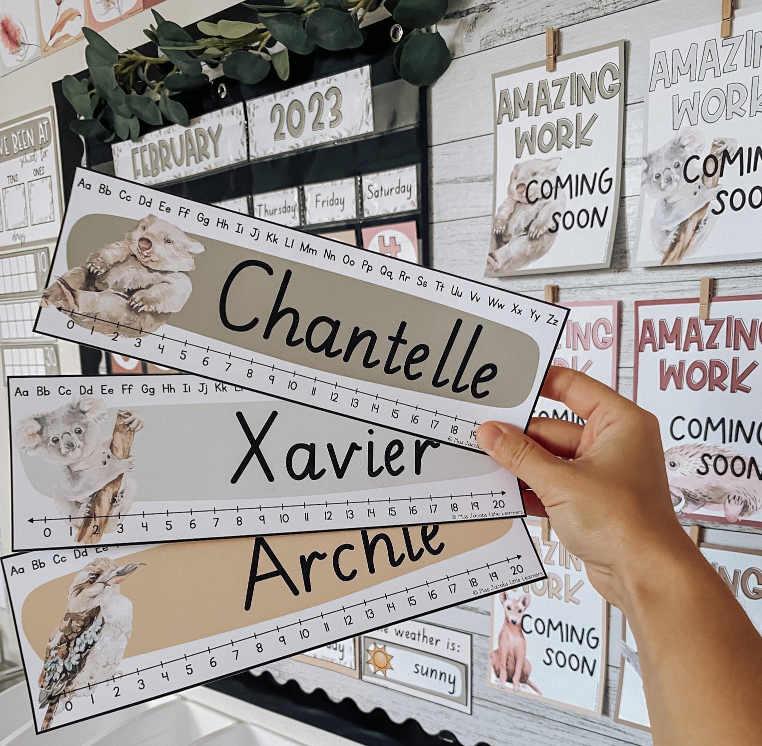 Australiana Classroom Decor - Native Flora and Fauna - Miss Jacobs