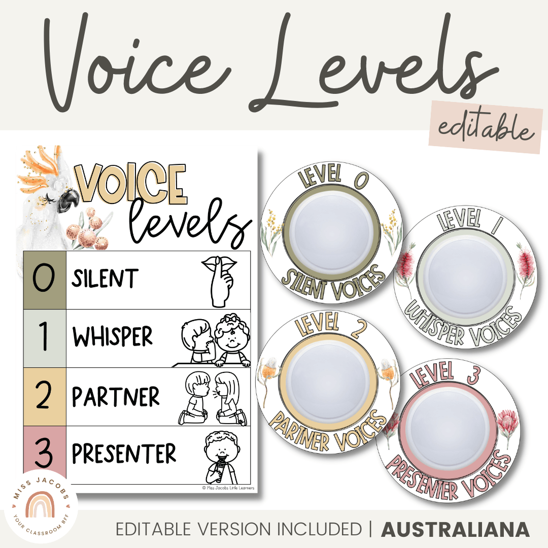 Classroom Voice and Noise Level Displays | Australiana