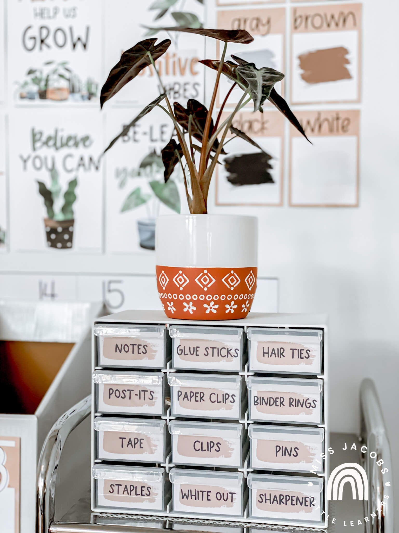 Boho Plants Classroom Decor - Rustic Boho Theme - Miss Jacobs