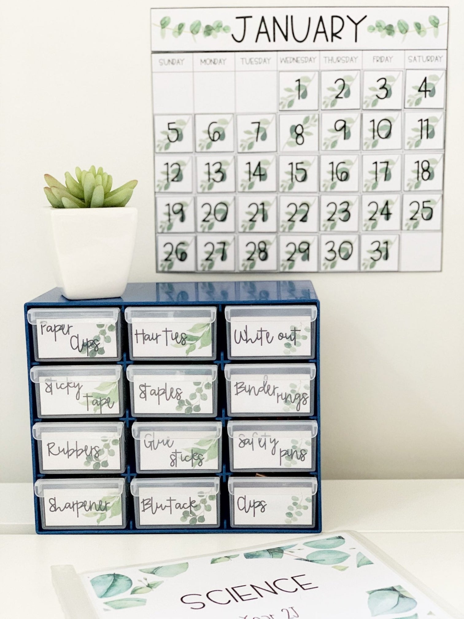 Modern Botanical Classroom Theme - Miss Jacobs Little Learners - Miss ...