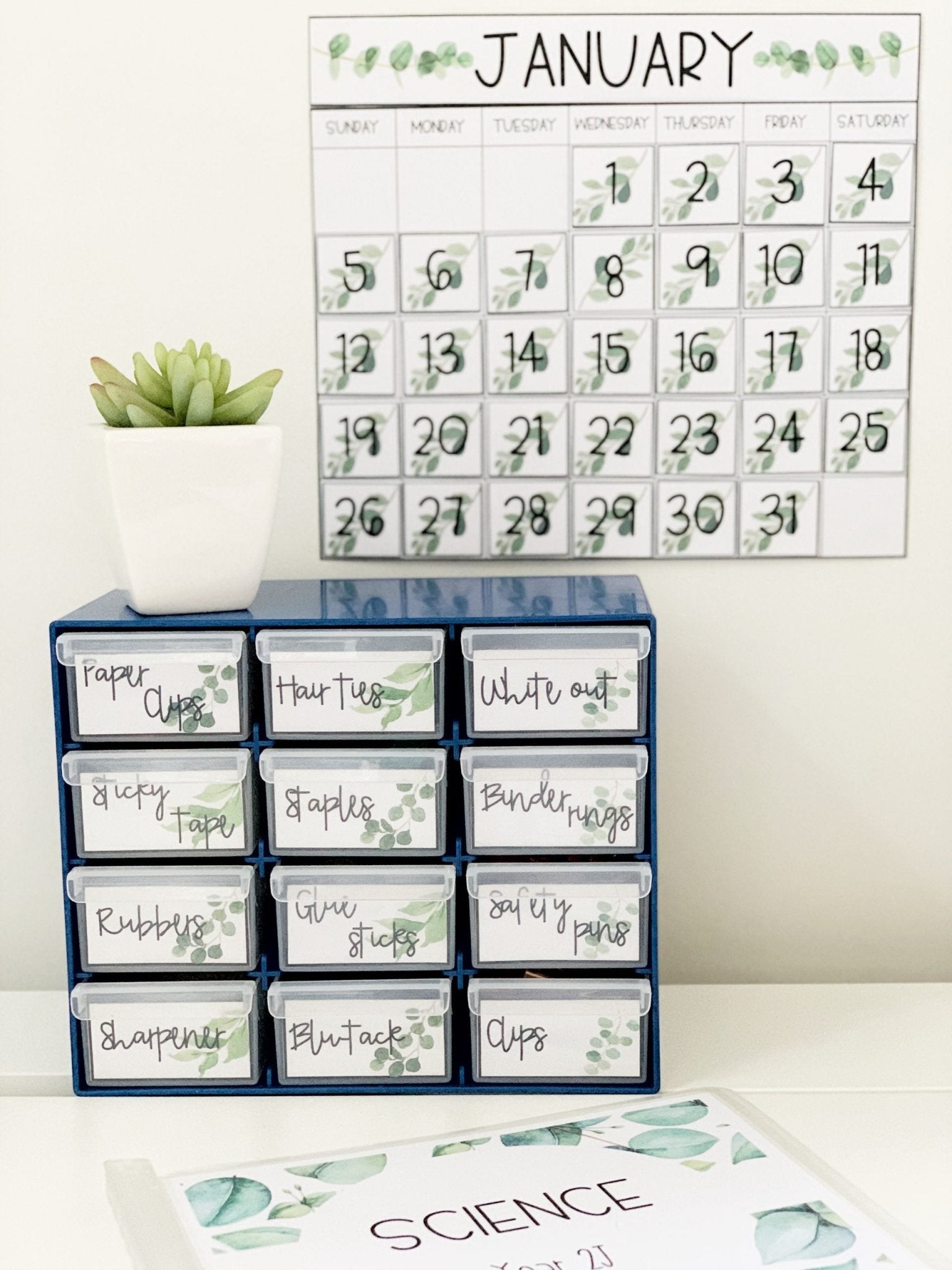 Modern Botanical Classroom Theme - Miss Jacobs Little Learners - Miss ...