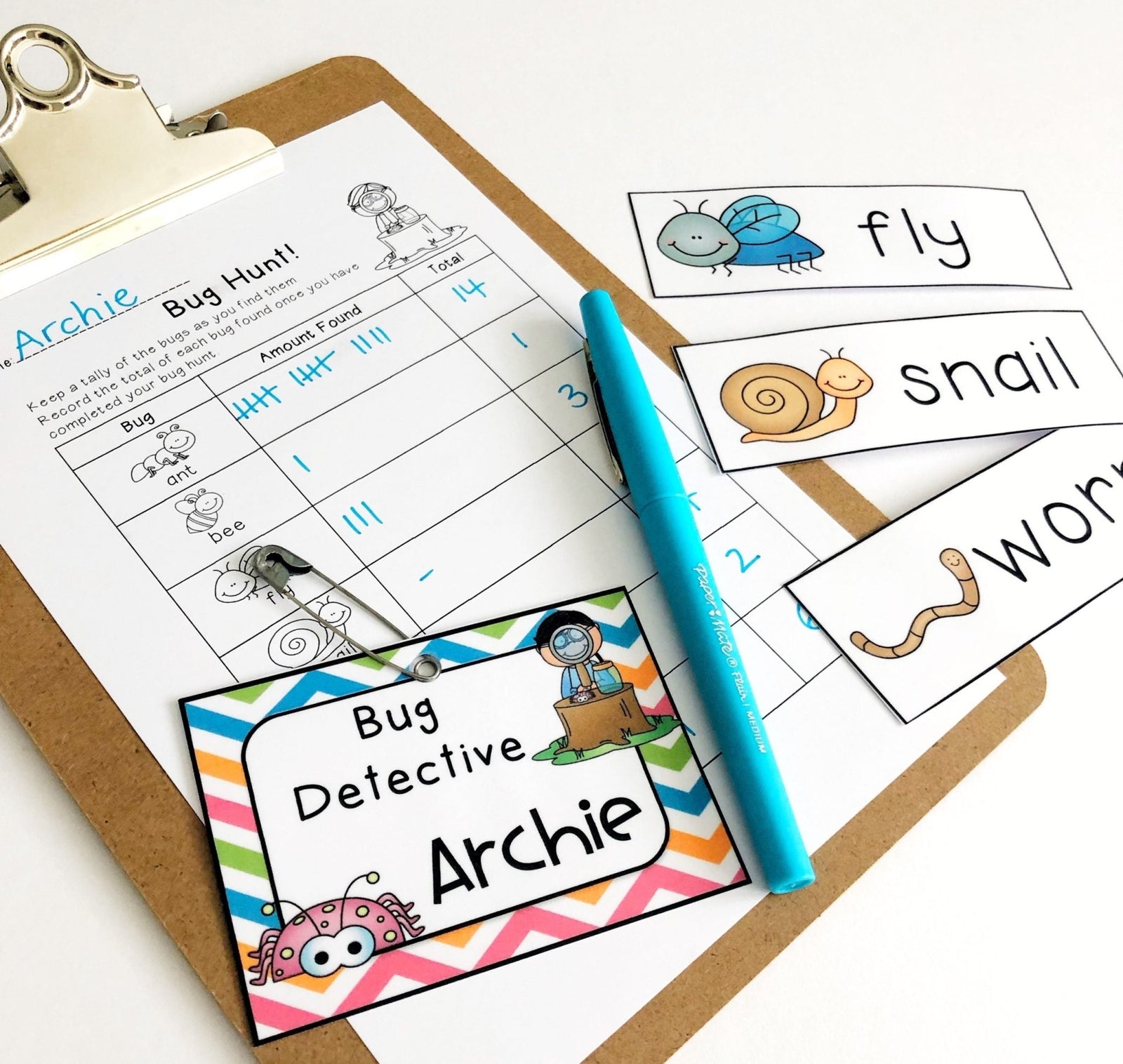 Bugs & Minibeasts Unit